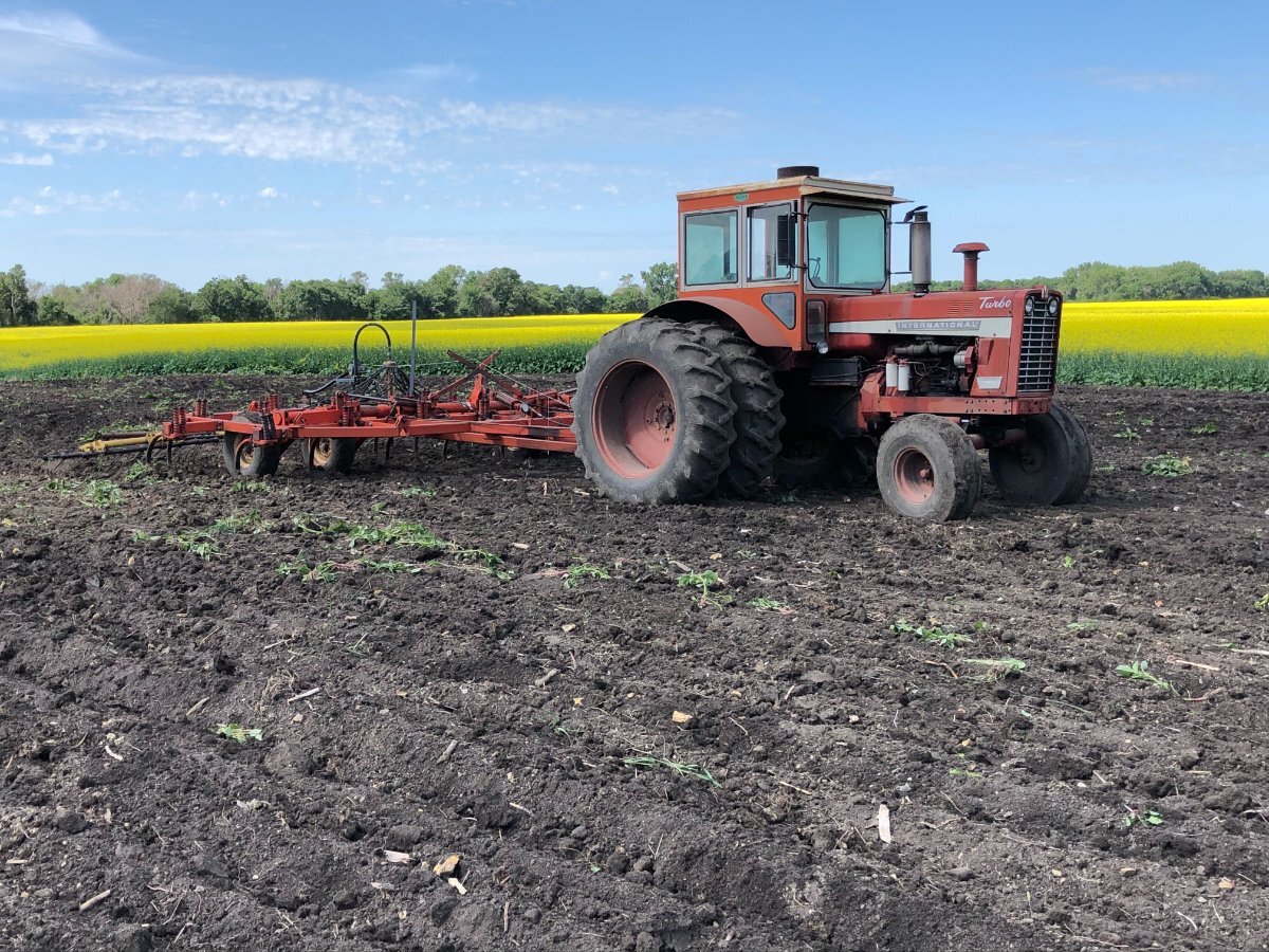 Tractor of the week. Week 27: 1256 - General Chat - Red Power Magazine ...