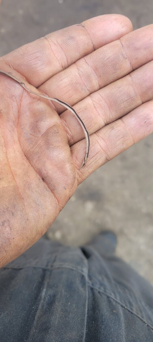 5250 powershift sealing ring - Technical IH Talk - Red Power Magazine ...