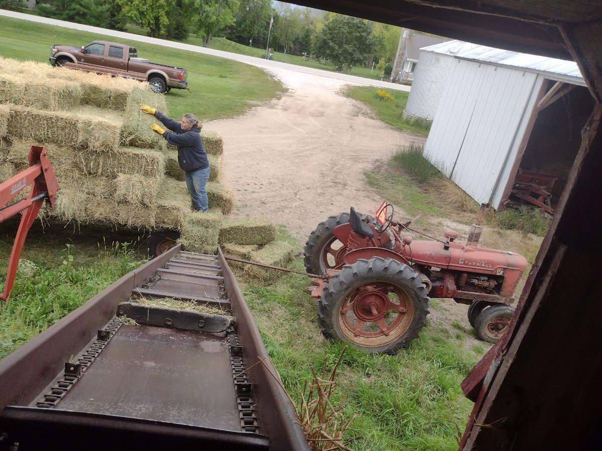 What did you do with your Red tractor today? - Page 44 - General Chat ...