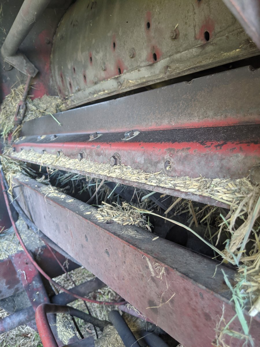 Knocked my concaves loose with a slug of down rice. - General Chat ...