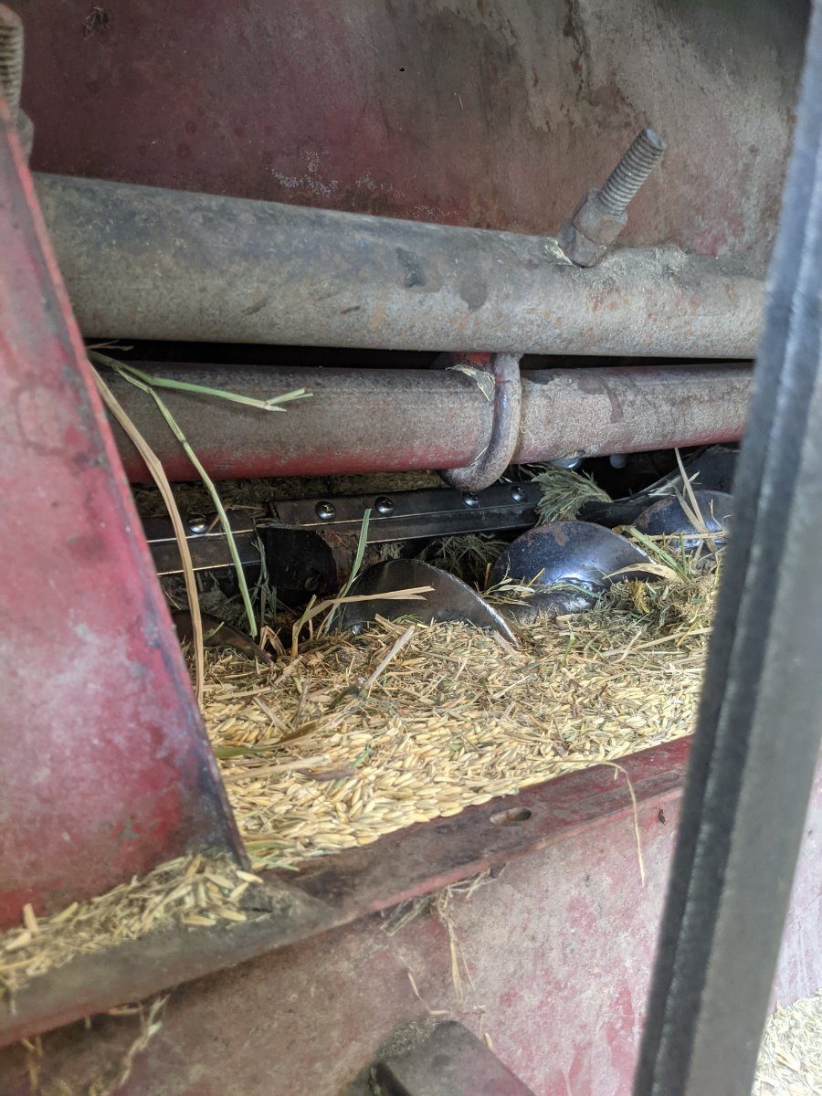 Knocked my concaves loose with a slug of down rice. - General Chat ...