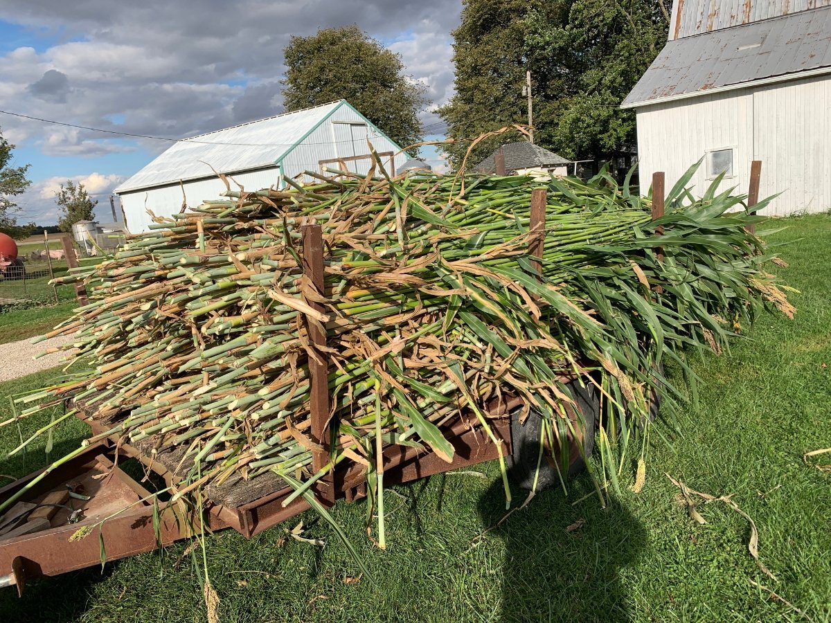 Makin molasses (sorghum syrup) - General Chat - Red Power Magazine ...