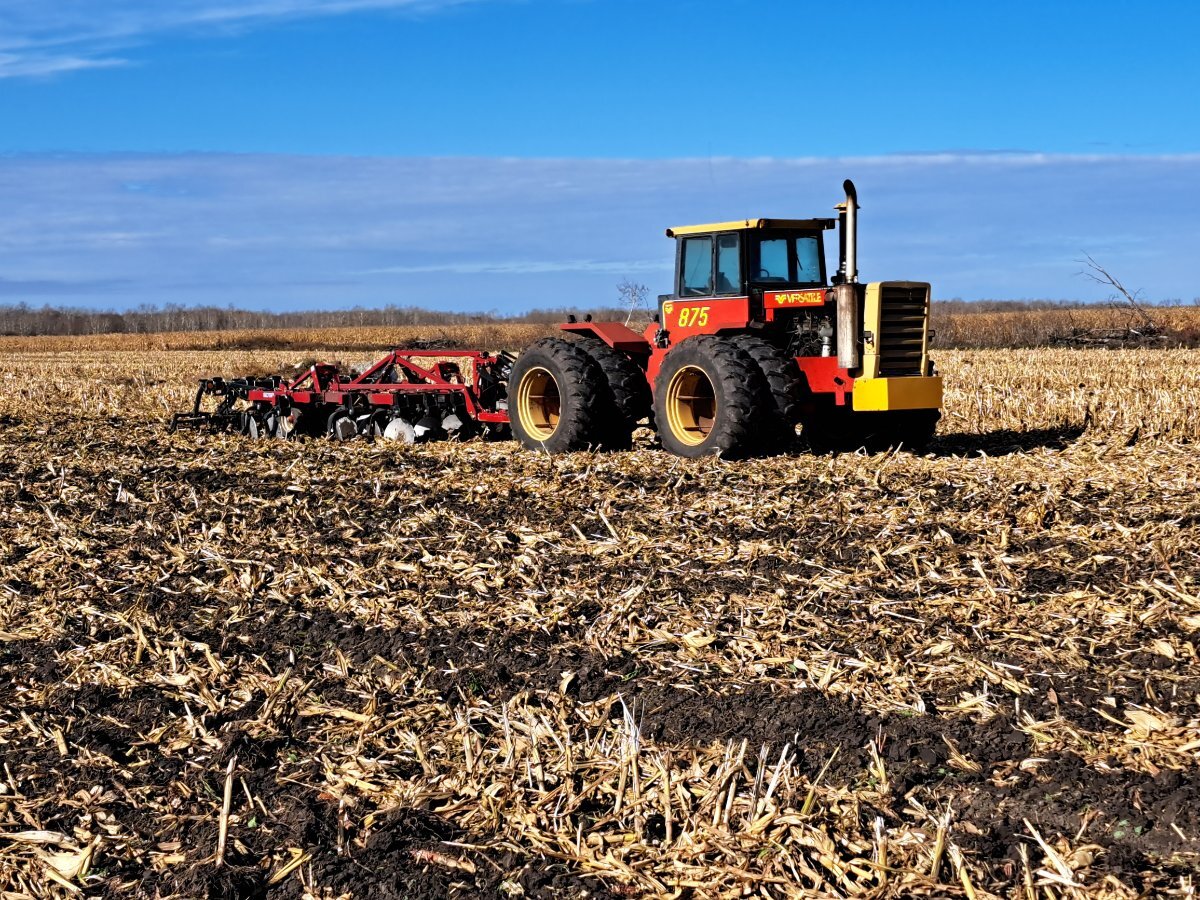 2023 crop pics - Page 17 - General Chat - Red Power Magazine Community