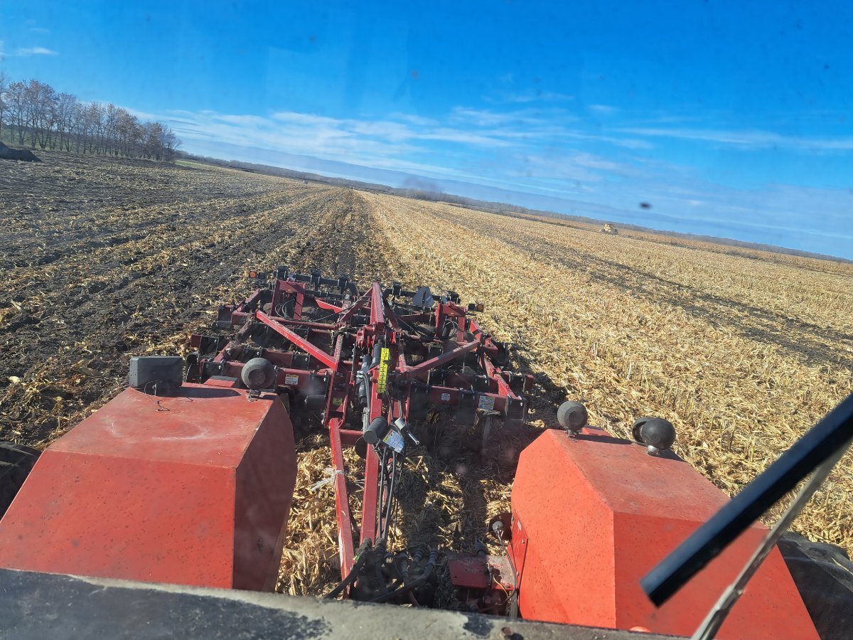 2023 crop pics - Page 17 - General Chat - Red Power Magazine Community