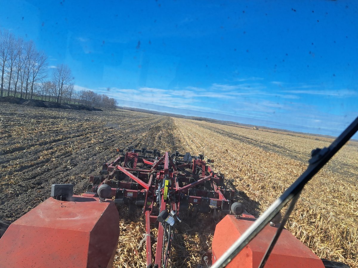 Vertical tillage tool - Page 2 - General Chat - Red Power Magazine ...
