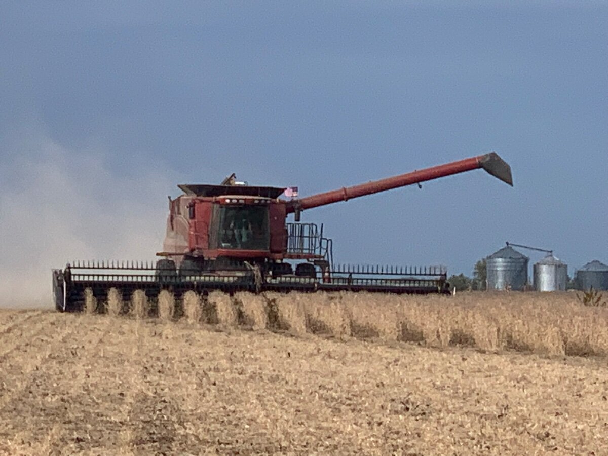 Harvest time pics - Page 3 - General Chat - Red Power Magazine Community