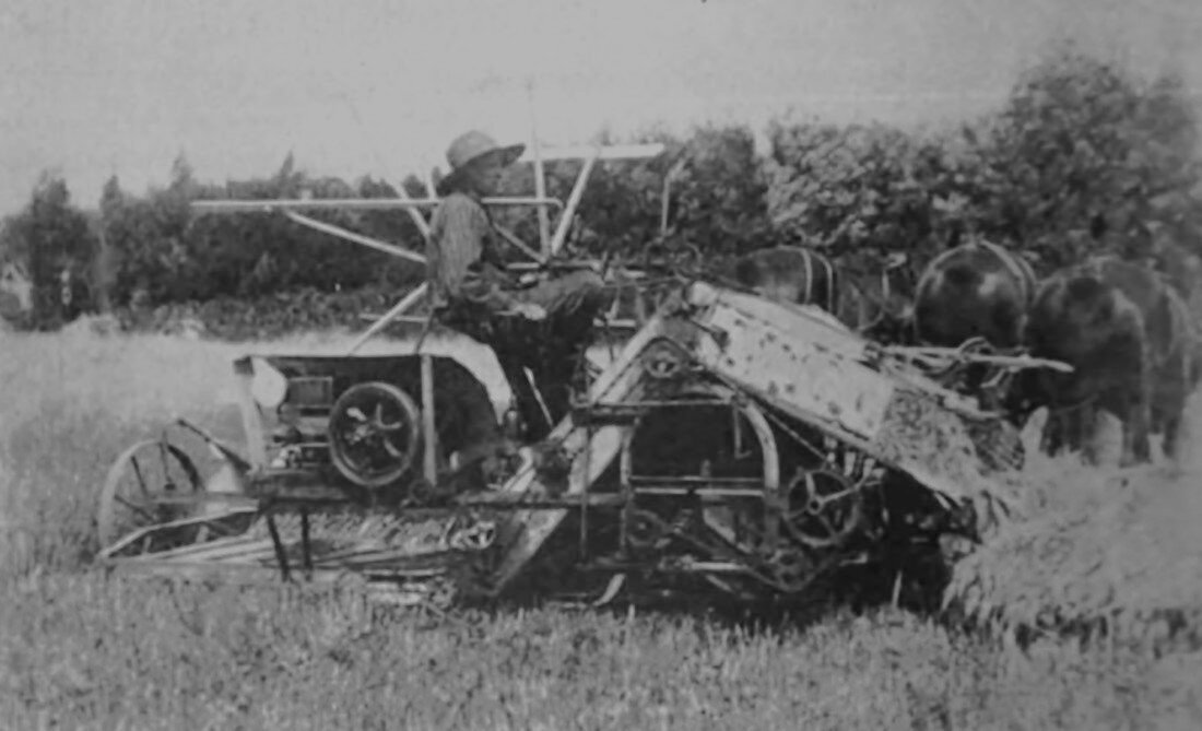 IH Tractors on Montana Farm - Page 989 - General Chat - Red Power ...
