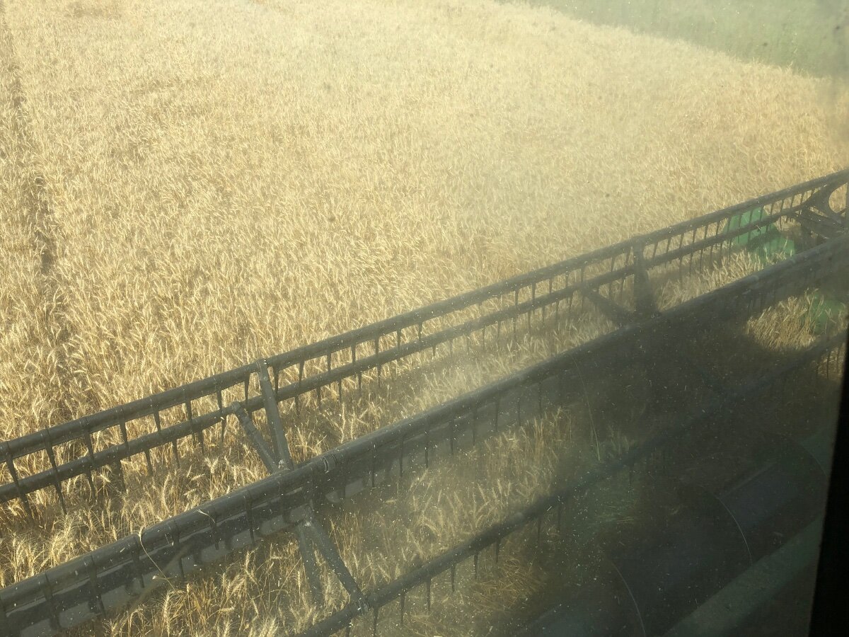 The good and bad of a IH 620 grain drill - Technical IH Talk - Red Power Magazine Community