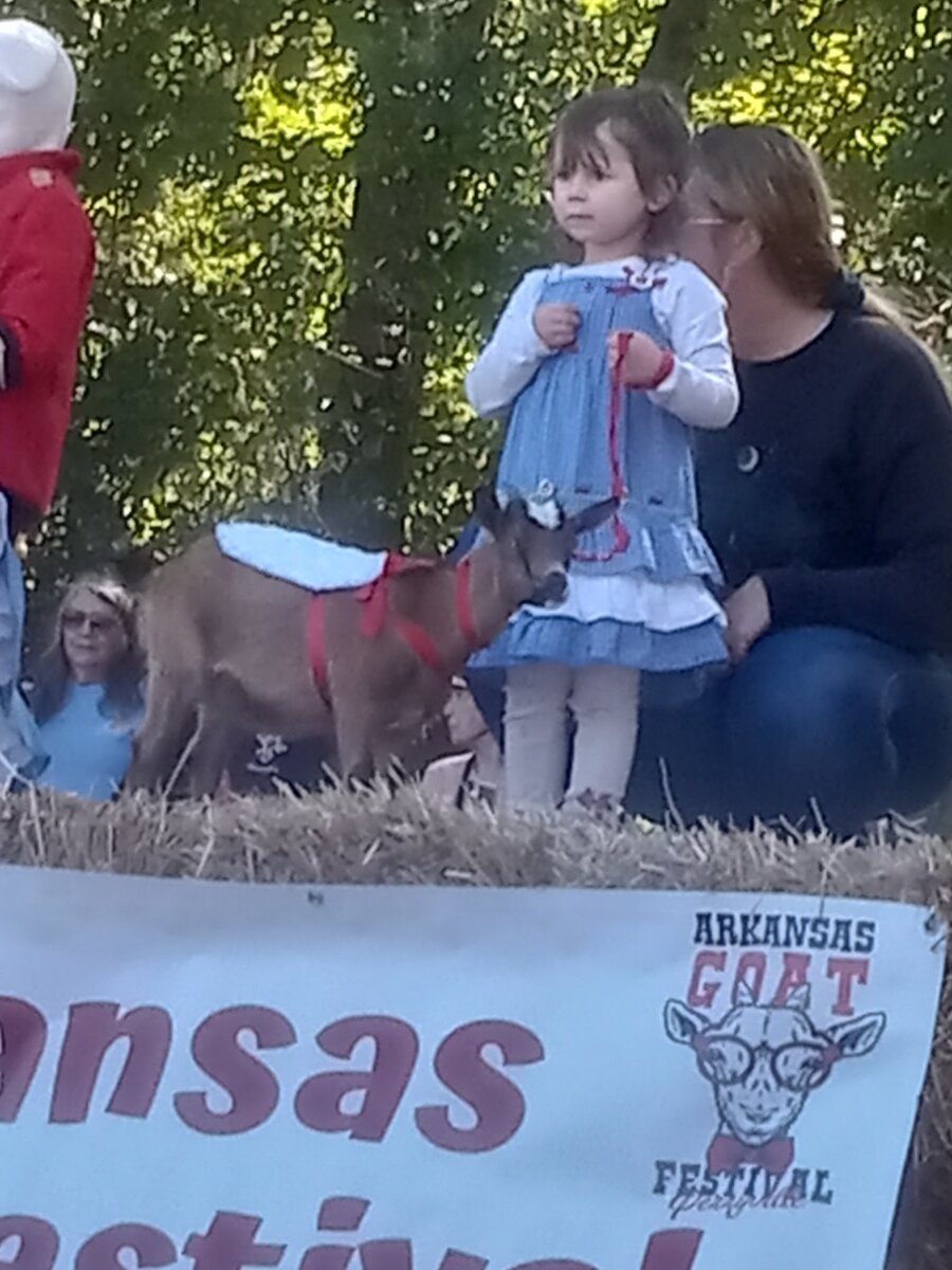 Goat festival time again - General Chat - Red Power Magazine Community