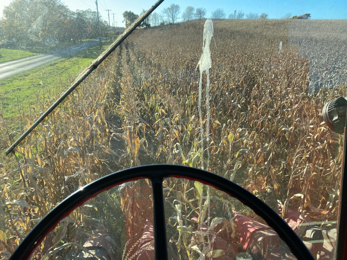 Harvest time pics - Page 4 - General Chat - Red Power Magazine Community