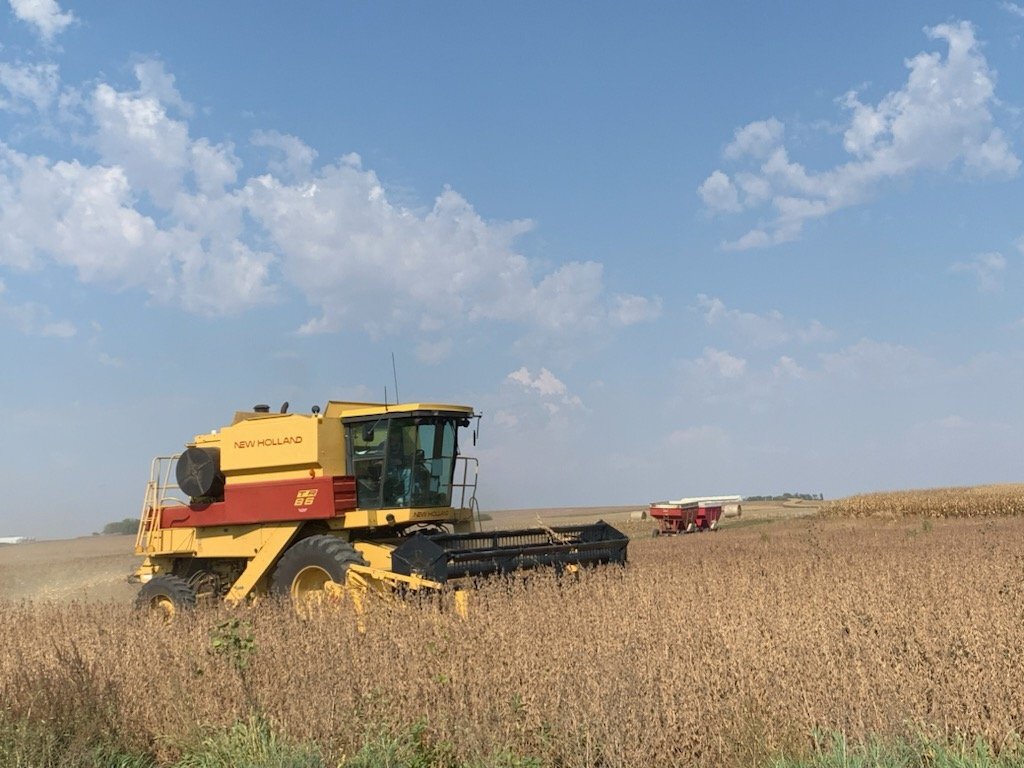 2023 crop pics - Page 14 - General Chat - Red Power Magazine Community