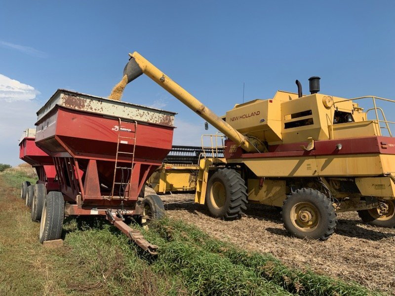 2023 crop pics - Page 14 - General Chat - Red Power Magazine Community