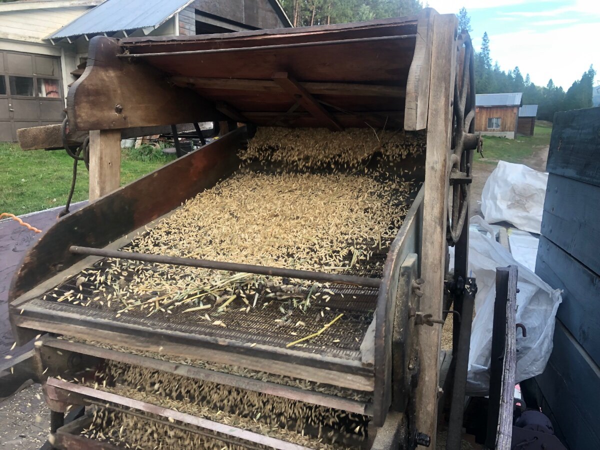 Fanning mill - General Chat - Red Power Magazine Community