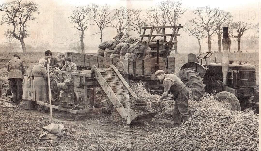 IH Tractors on Montana Farm - Page 991 - General Chat - Red Power ...