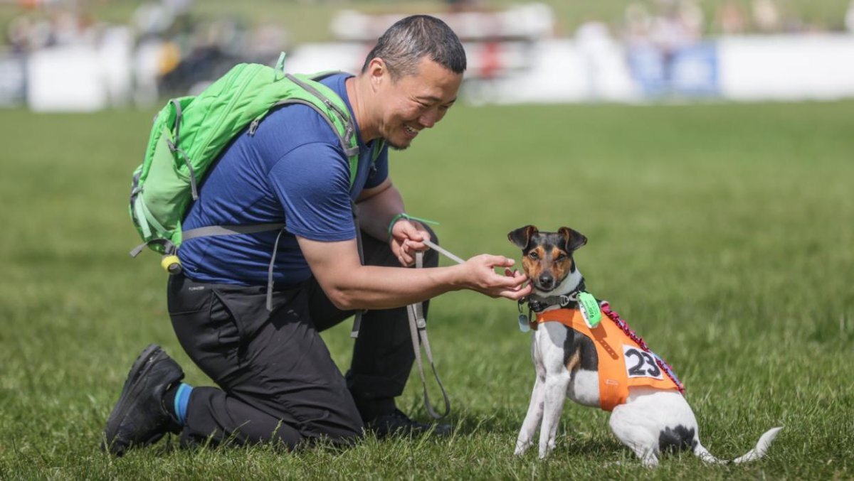 The Dog Thread - Page 112 - General Chat - Red Power Magazine Community