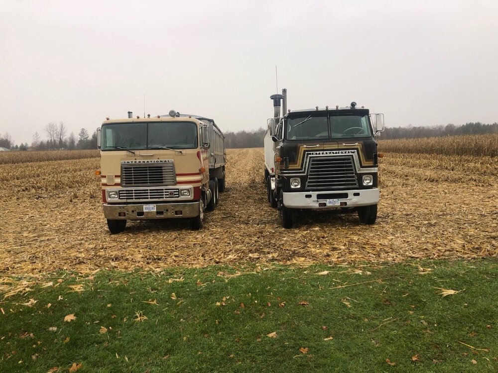 1979 International 4300 Transtar - IH Trucks - Red Power Magazine Community