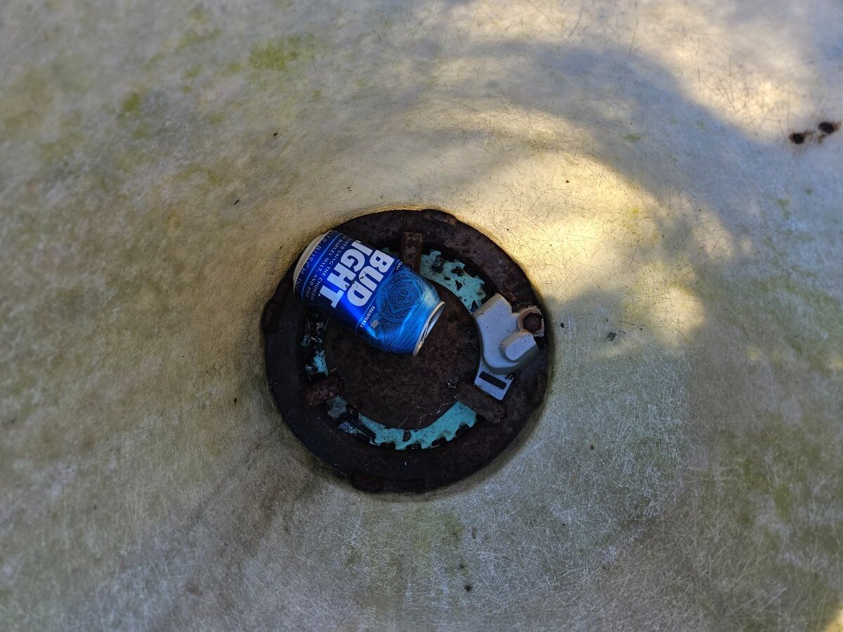 Hmmmm find of the day in the fence row - General Chat - Red Power ...