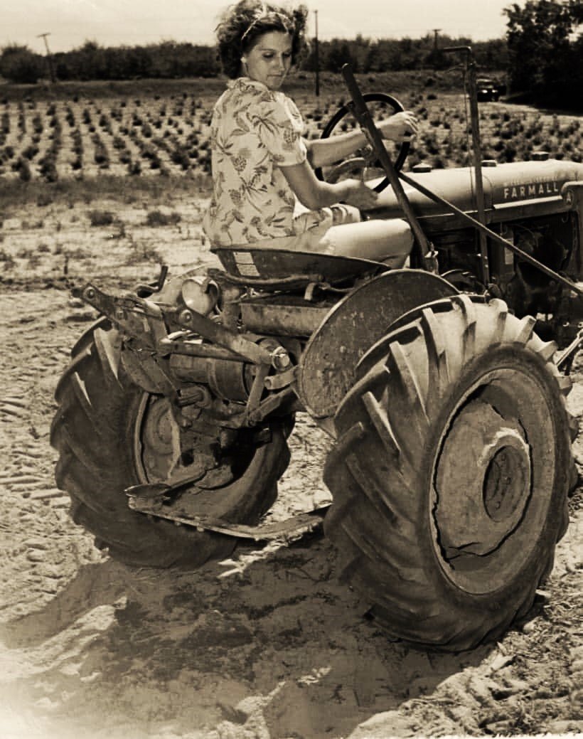 IH Tractors on Montana Farm - Page 994 - General Chat - Red Power ...