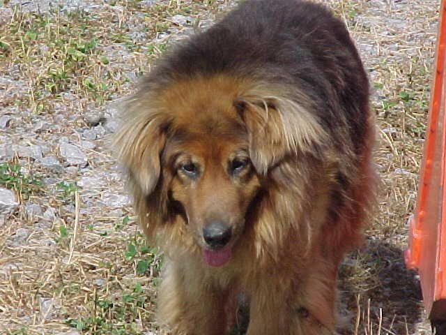 786 - General Chat - Red Power Magazine Community