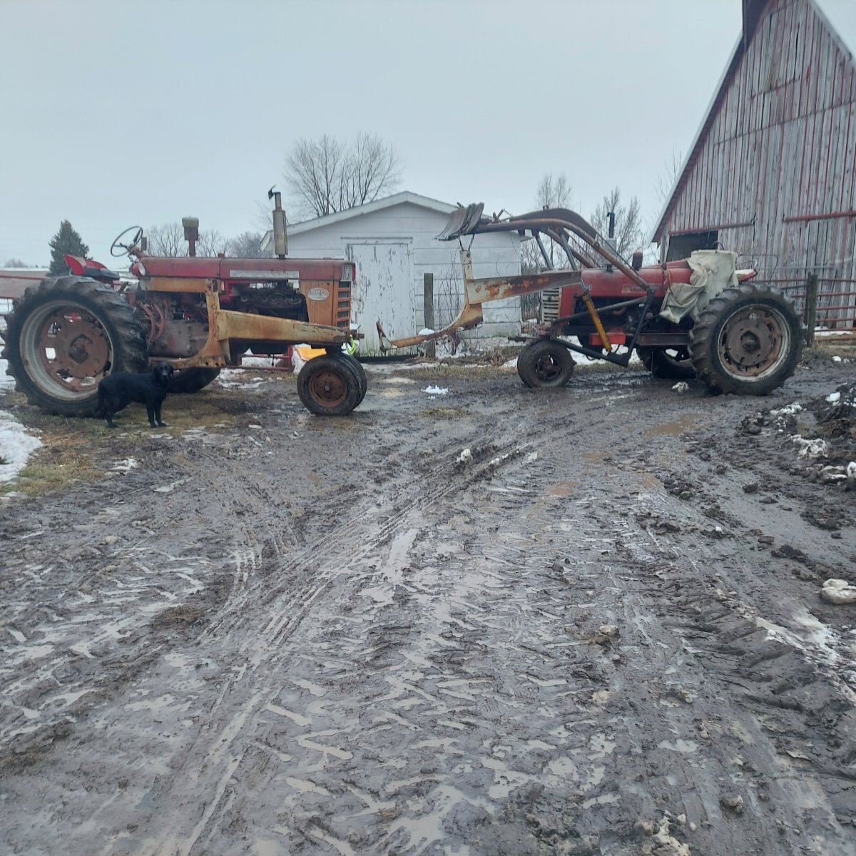 2001 loader onto a 560D - Projects, Builds, & Restorations - Red Power ...