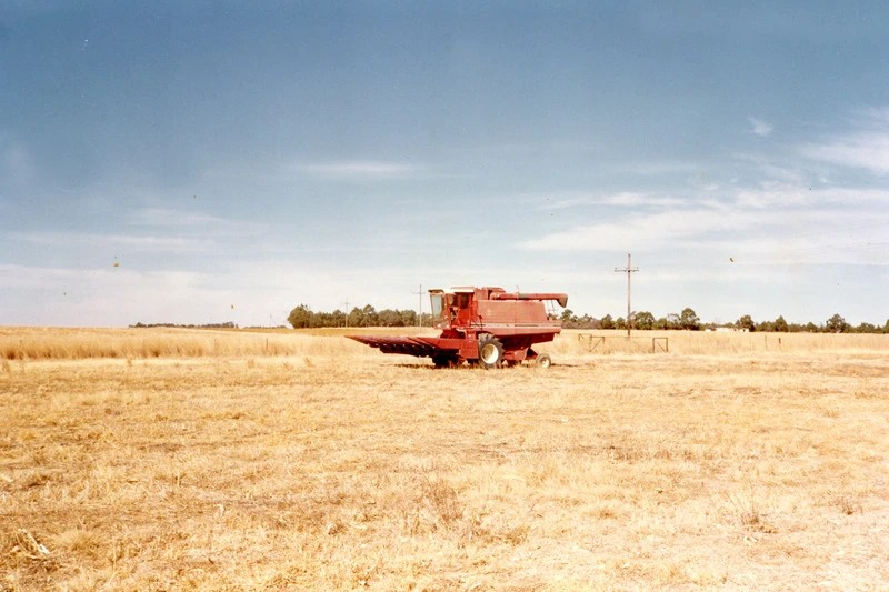 Old IH photos and advertising - Page 4 - General Chat - Red Power Magazine Community