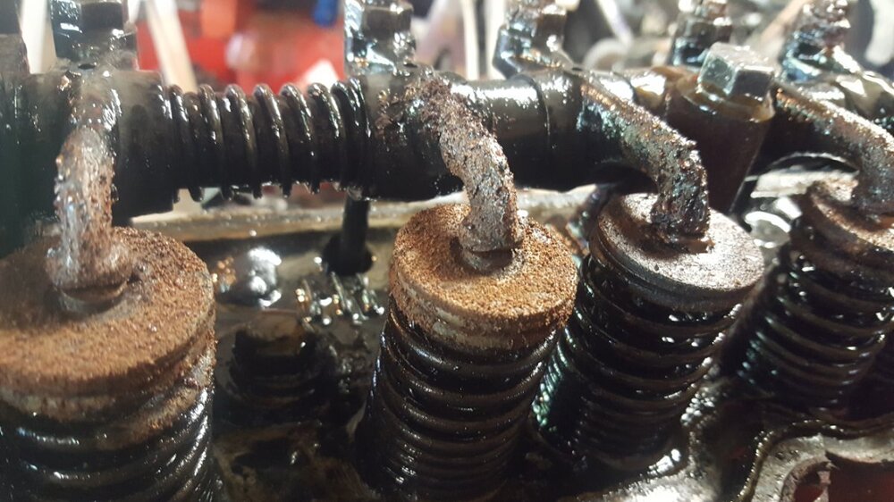 BD154 low oil pressure (yeah, another one of those :-) ) - Technical IH ...