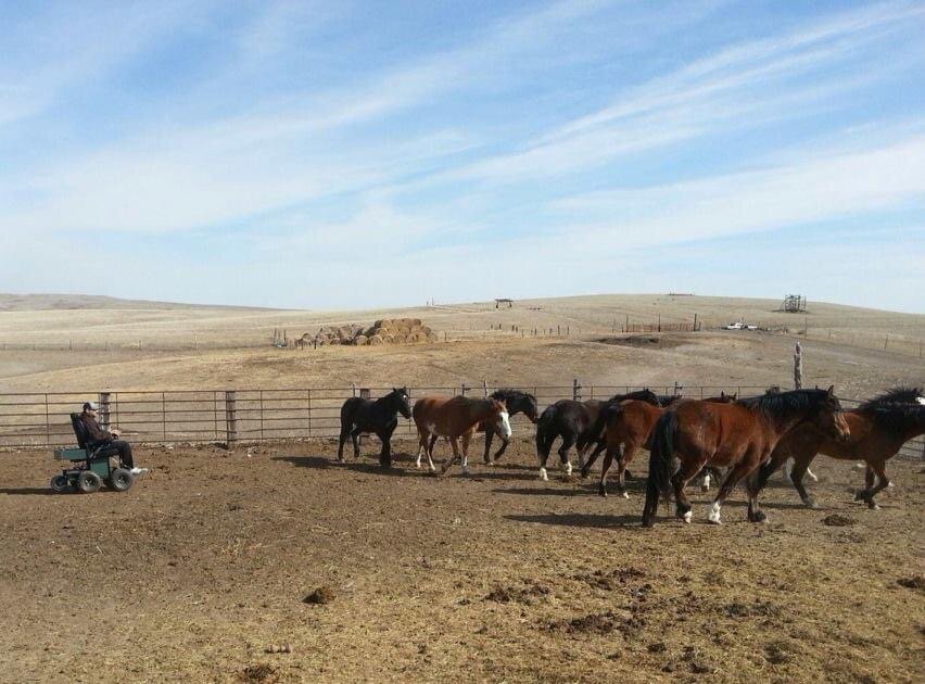 Farm auction and trackchair - General Chat - Red Power Magazine Community