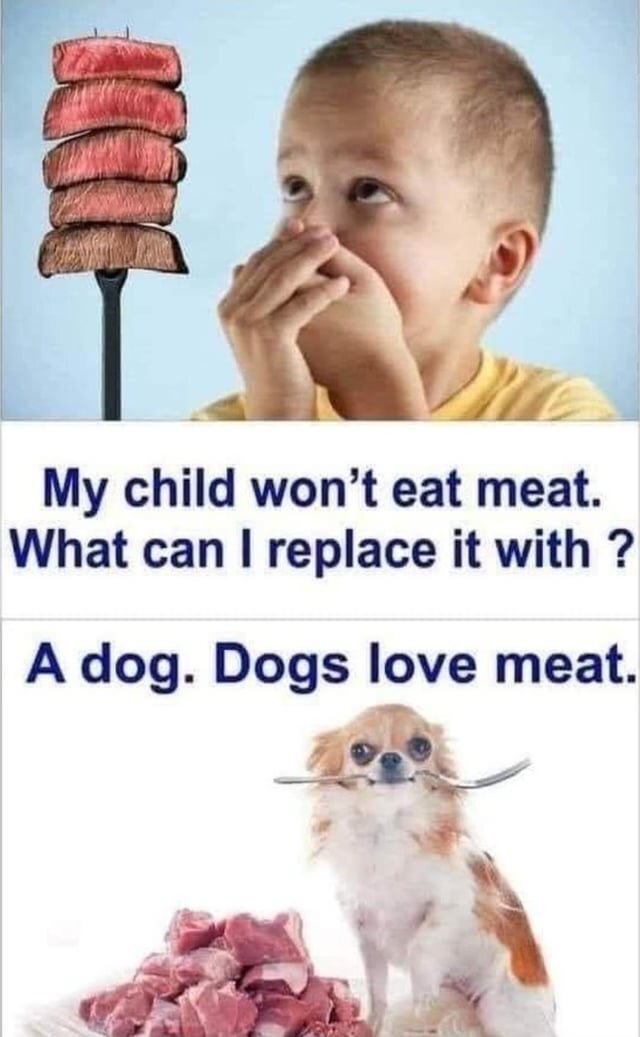 Is your child a vegetarian - General Chat - Red Power Magazine Community