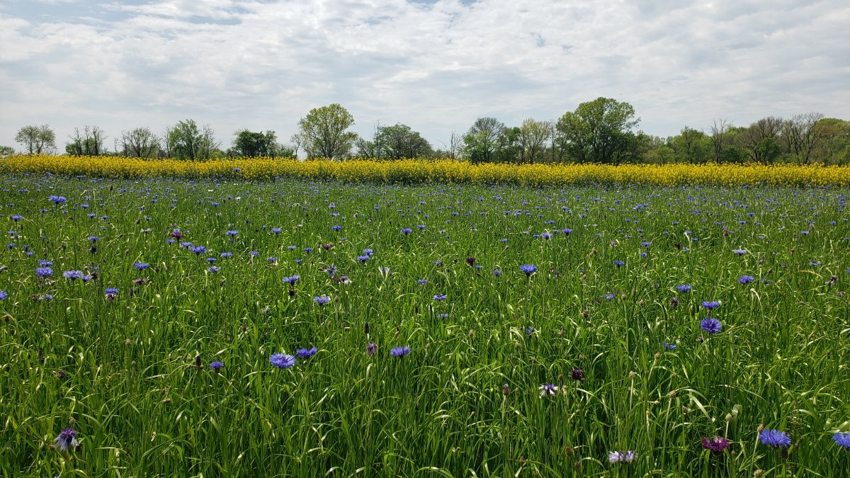 The awesome picture thread - Page 84 - General Chat - Red Power ...