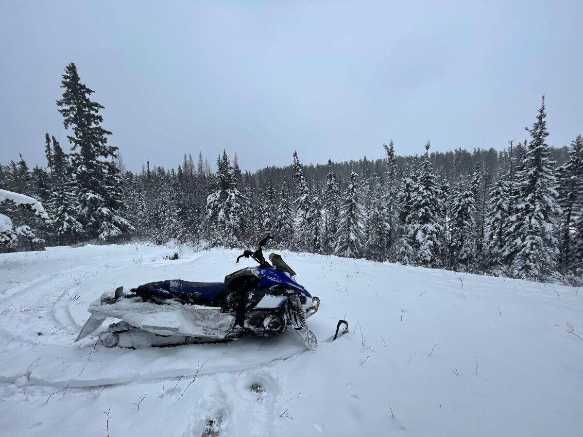 All Activity - Red Power Magazine Community