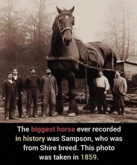 The awesome picture thread - Page 83 - General Chat - Red Power ...