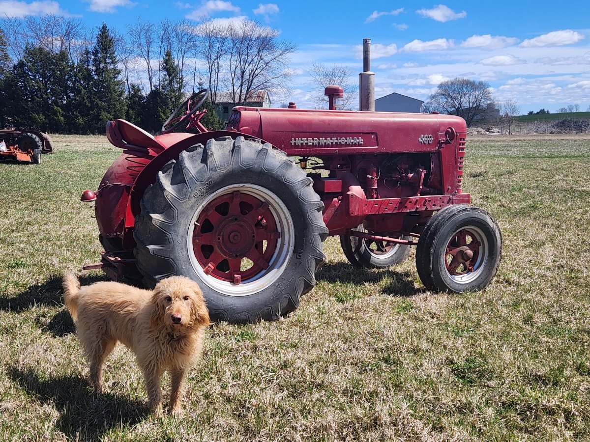 W400 ,W6 - Technical IH Talk - Red Power Magazine Community