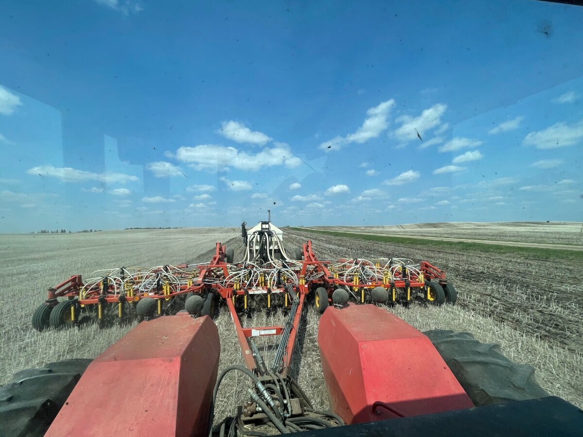 2023 crop pics - Page 20 - General Chat - Red Power Magazine Community