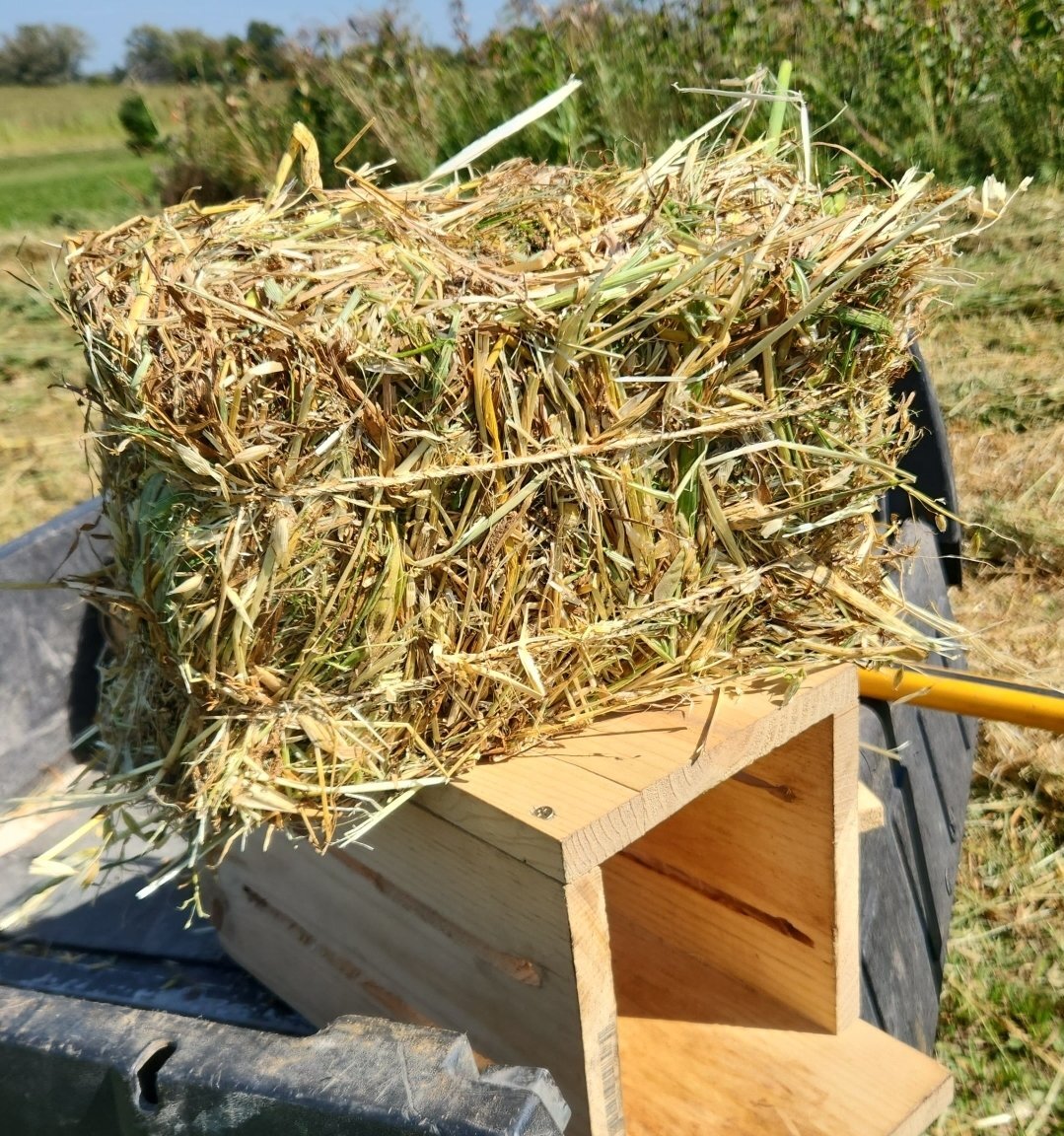Baling hay a different way - General Chat - Red Power Magazine Community