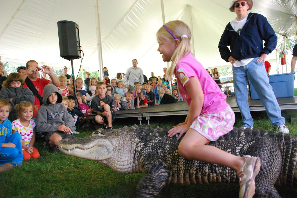 Gator Question - General Chat - Red Power Magazine Community