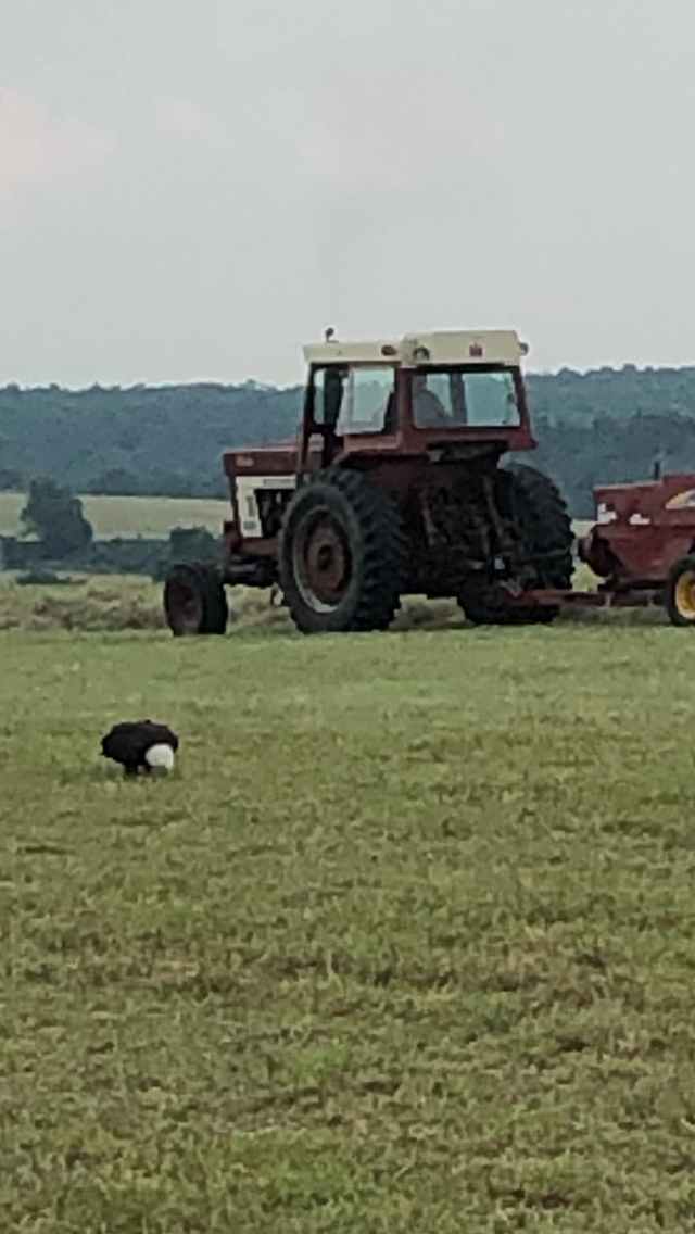 66 series still getting the job done - General Chat - Red Power Magazine Community