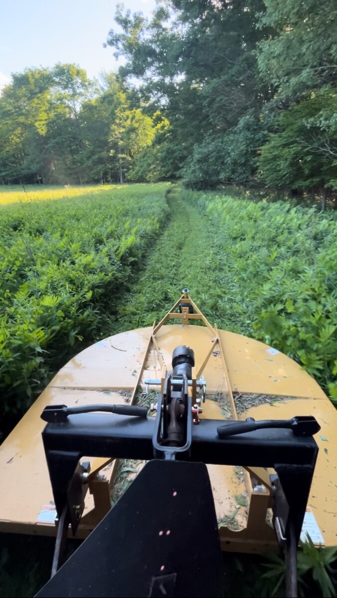 Case IH 495 - Page 2 - Projects, Builds, & Restorations - Red Power ...