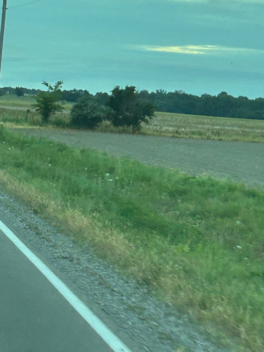 The awesome picture thread - General Chat - Red Power Magazine Community