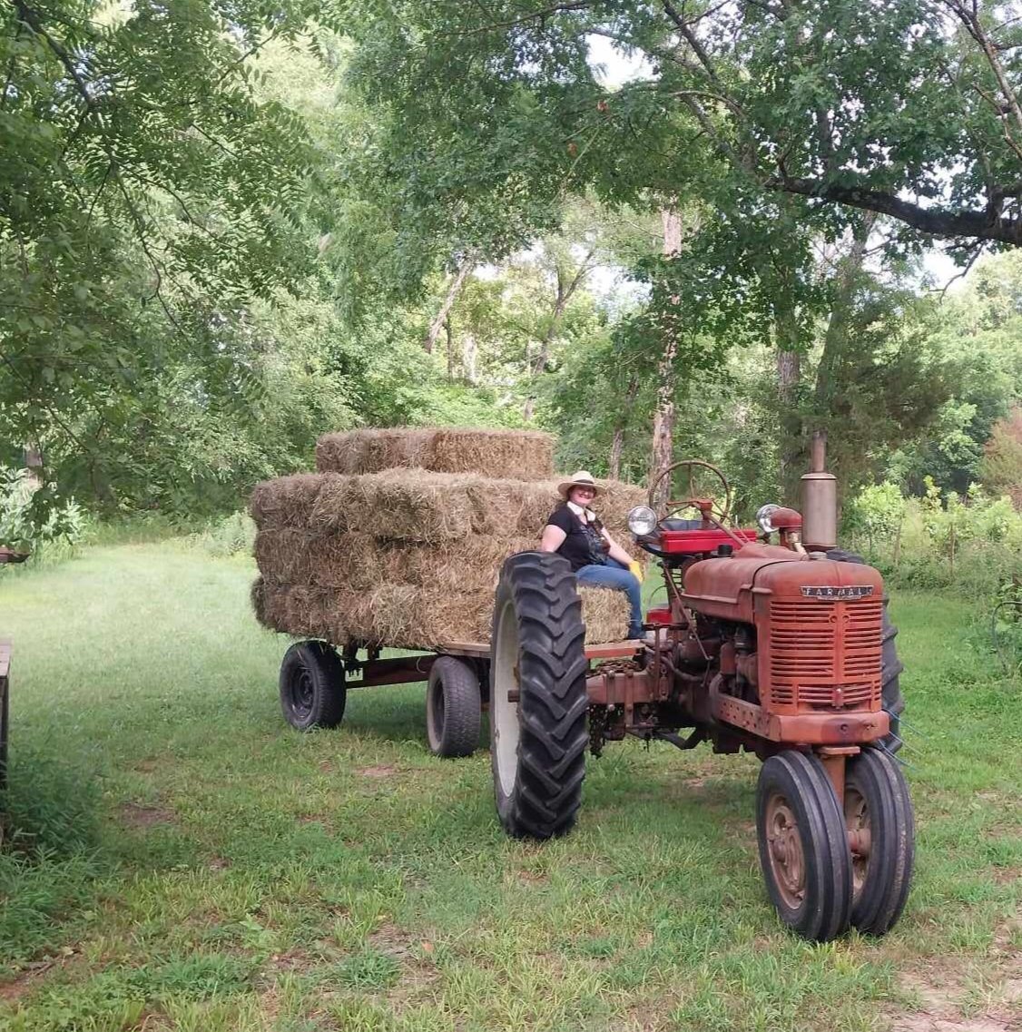 Dream Tractor - Page 2 - General Chat - Red Power Magazine Community