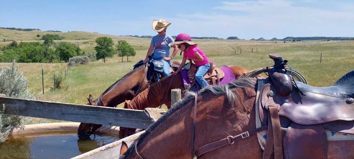 The Horse and Mule Thread - Page 14 - General Chat - Red Power Magazine ...