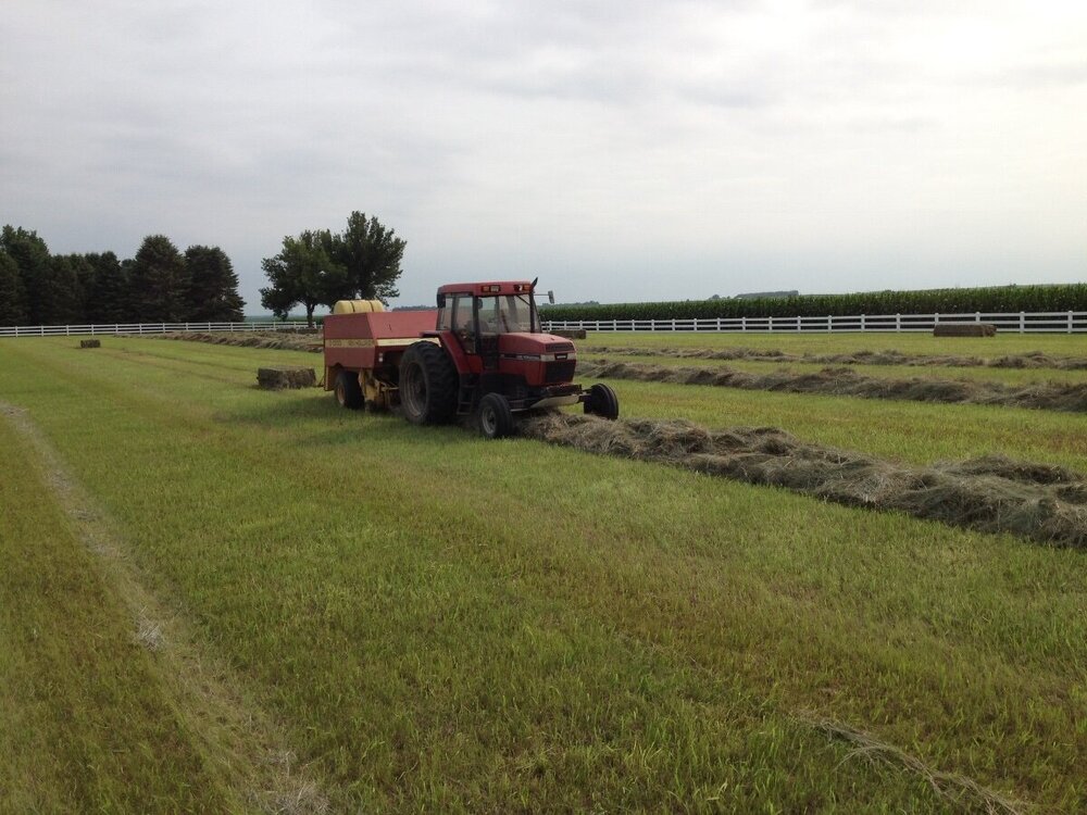 Making Hay - Page 2 - General Chat - Red Power Magazine Community