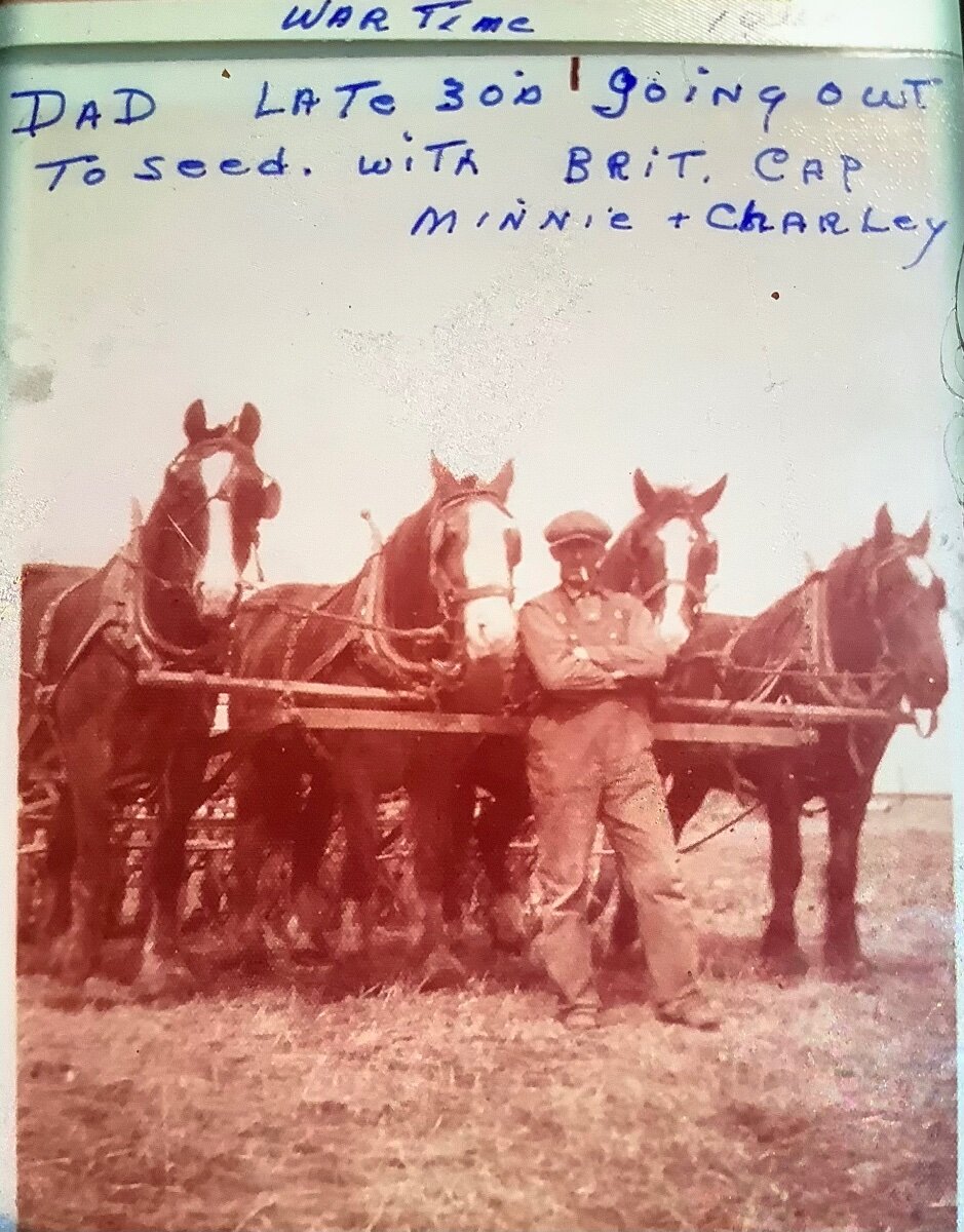 4 row corn picking in the late 1940s/50s - General Chat - Red Power ...