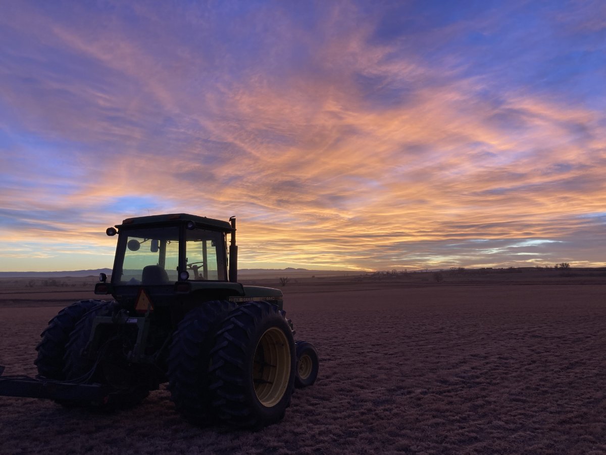 All Activity - Red Power Magazine Community