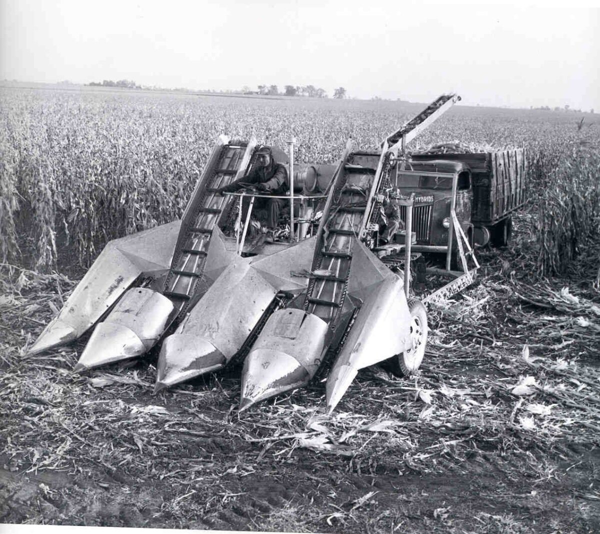 4 row corn picking in the late 1940s/50s - General Chat - Red Power ...