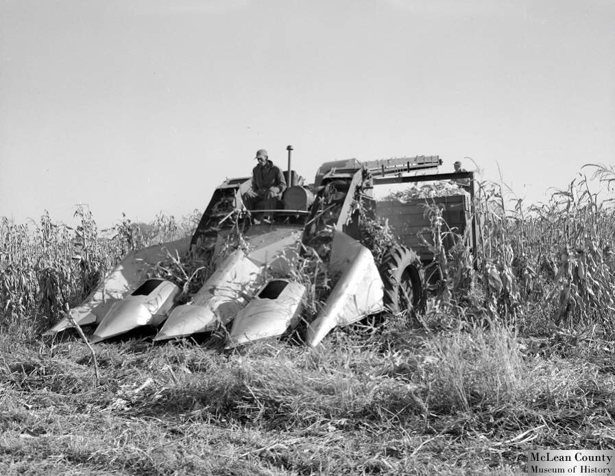 4 row corn picking in the late 1940s/50s - General Chat - Red Power ...