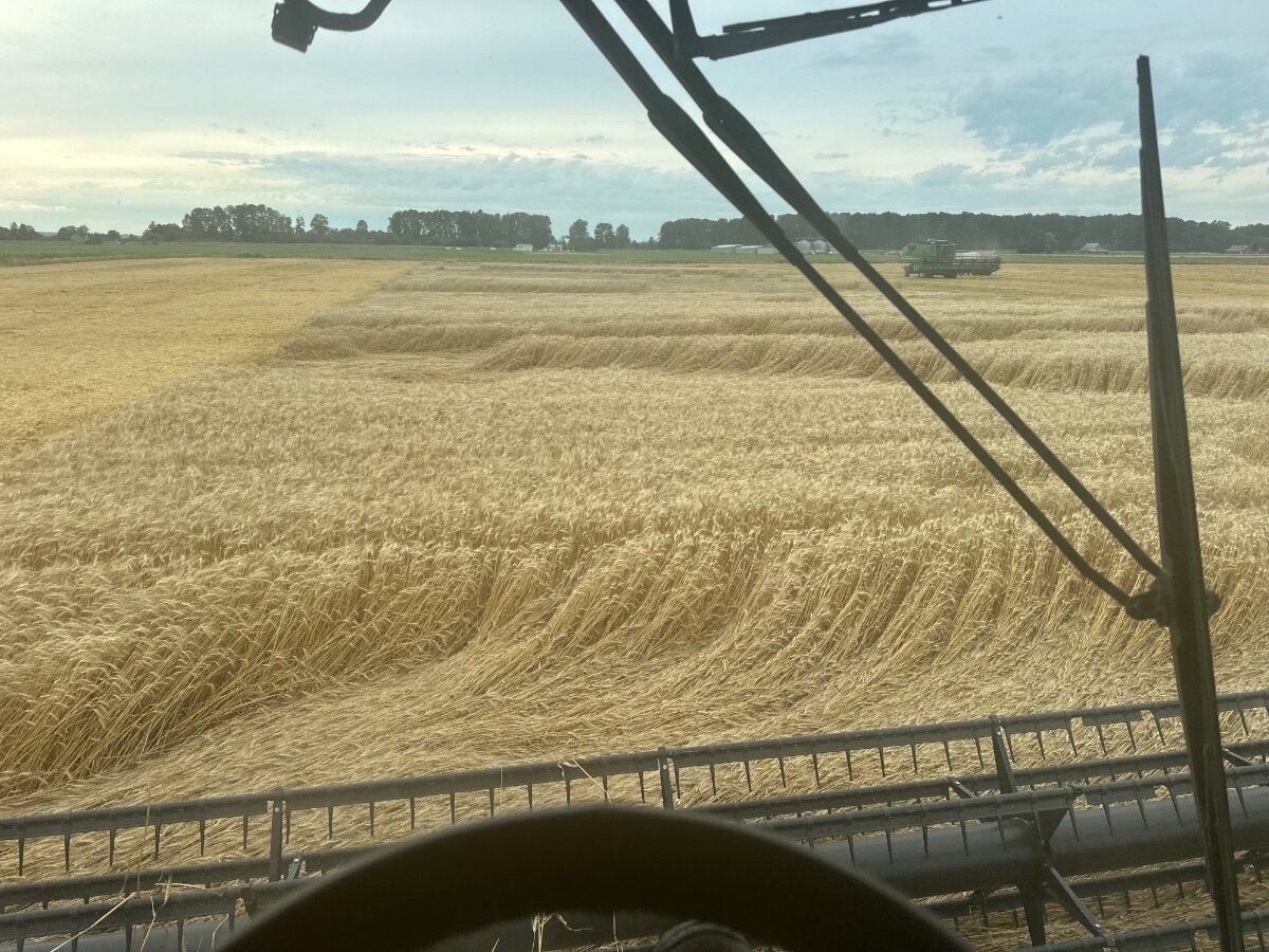 Combine belts - General Chat - Red Power Magazine Community