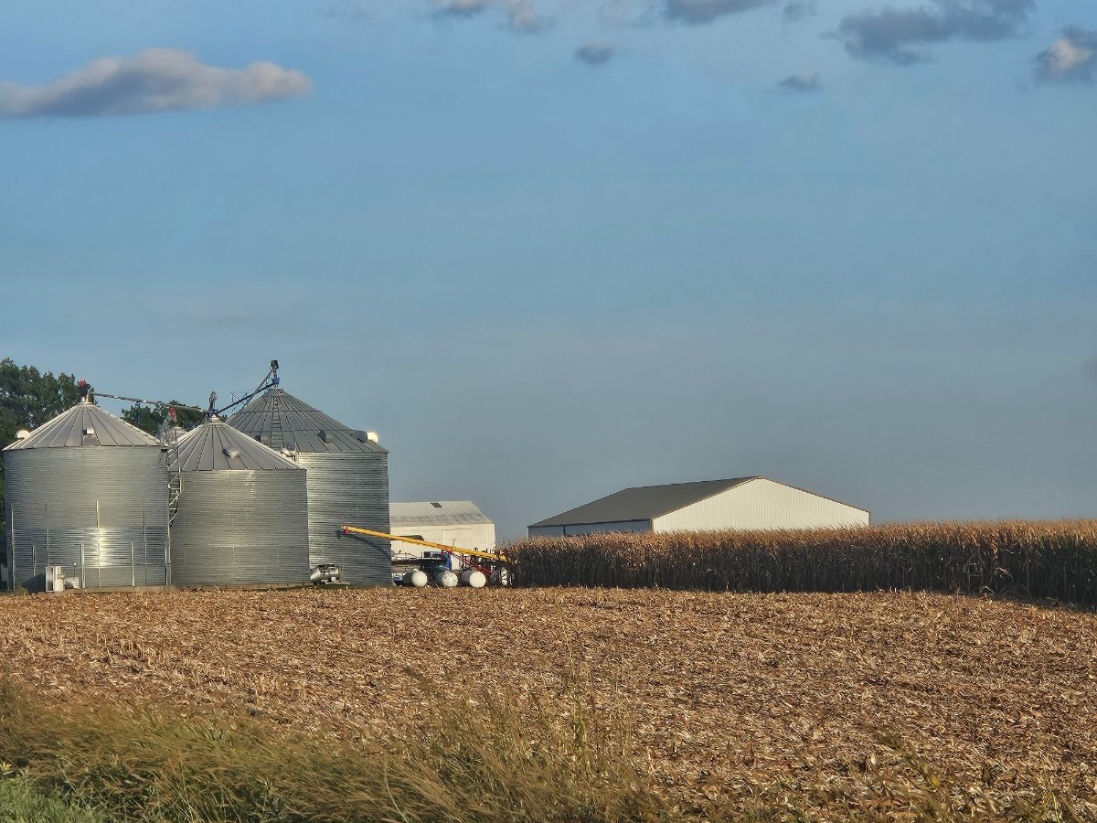 2023 crop pics - Page 29 - General Chat - Red Power Magazine Community