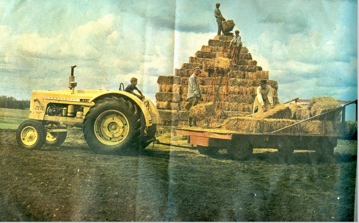 Yellow co-op combine??? - Page 3 - General Chat - Red Power Magazine ...