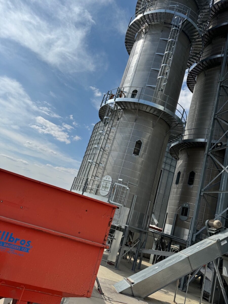 First day of harvest - General Chat - Red Power Magazine Community