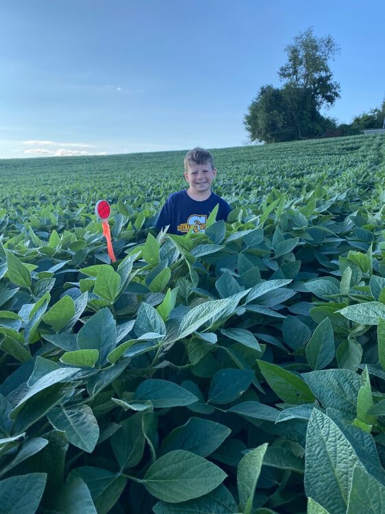 Started running beans today - General Chat - Red Power Magazine Community